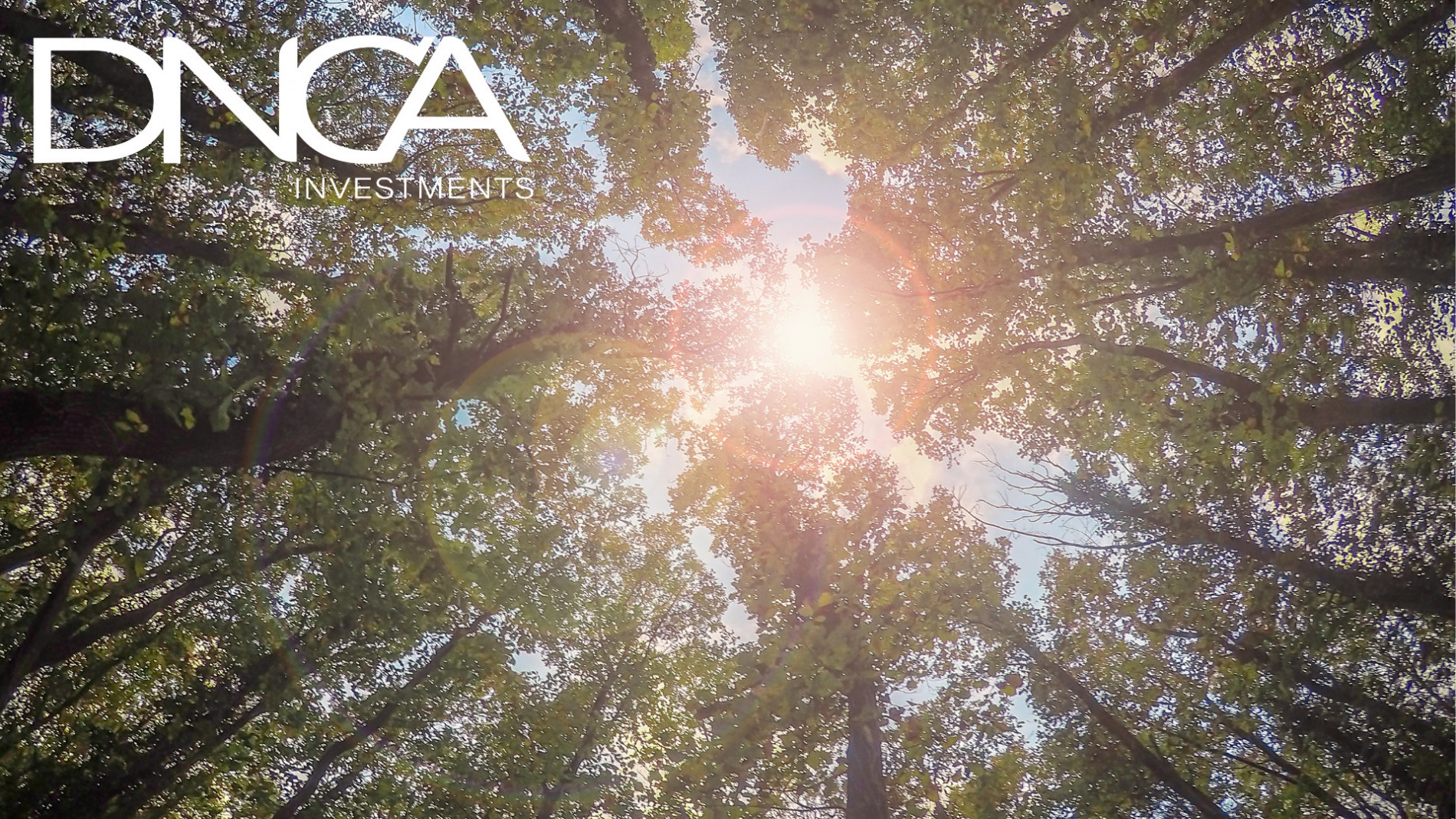 La gestion active, par DNCA INVESTMENTS. - Elite News