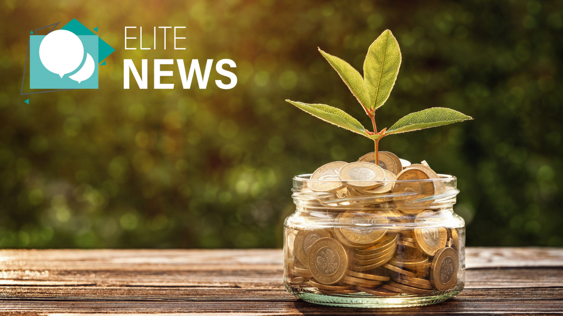 Le Private Equity, qu’est-ce que c’est ? – par ELITE NEWS - Elite News